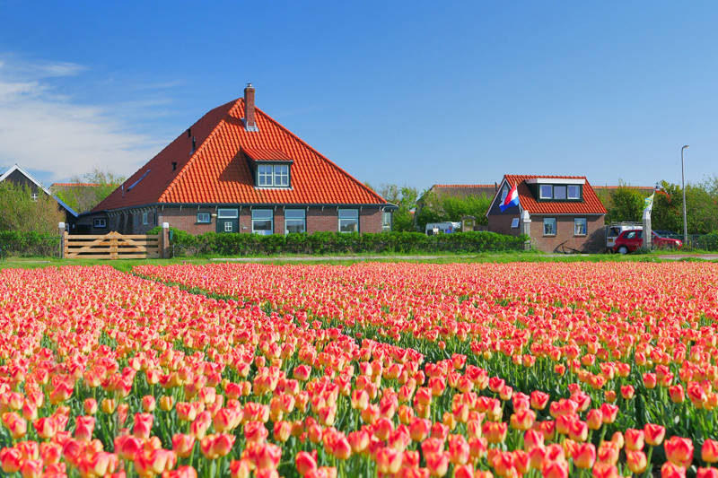 Eb en vloed Callantsoog verwachting 10 dagen - LekkerNaarZee