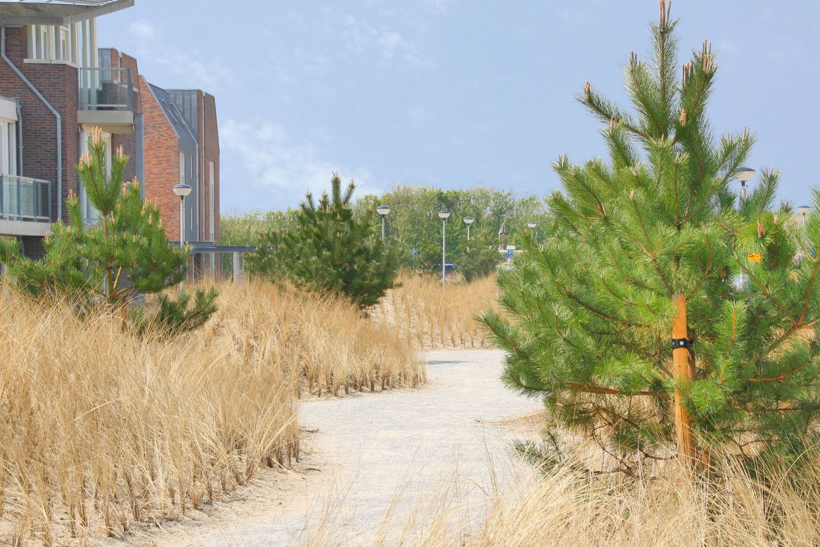 Duinerei B103 | Aappartement Groote Keeten - LekkerNaarZee